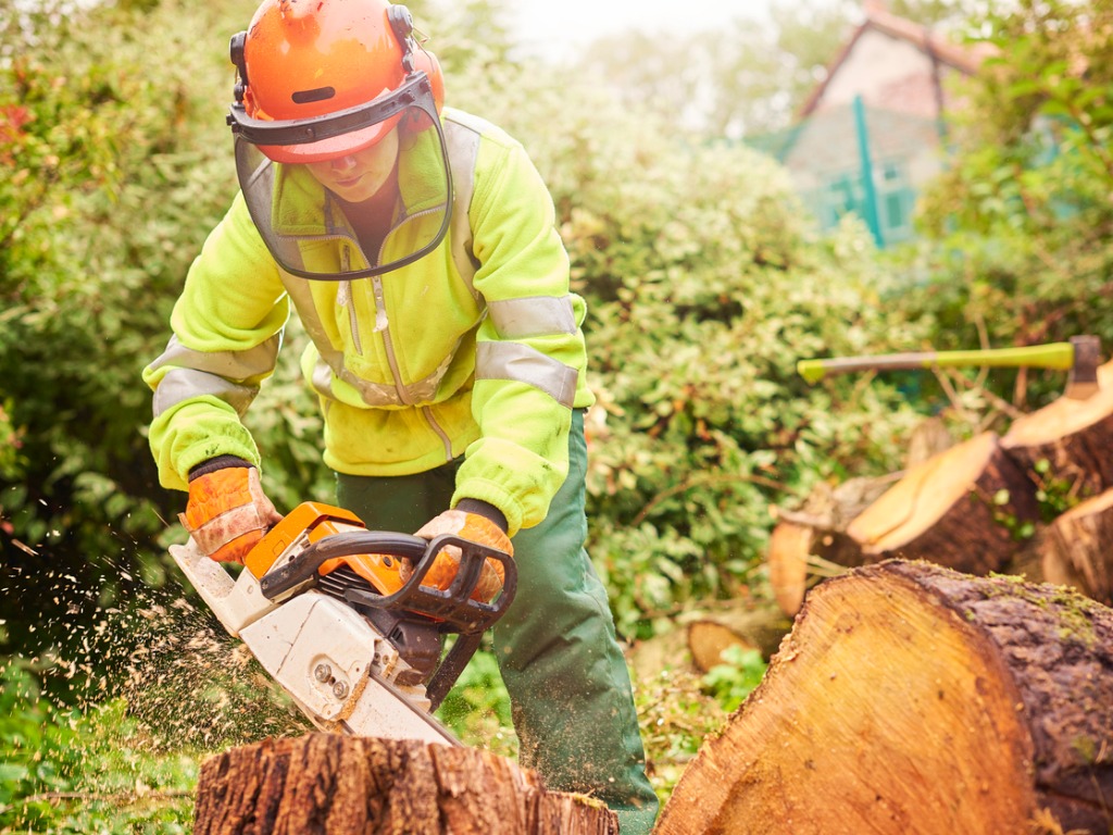 Formation – Élagage | Québec métiers d'avenir